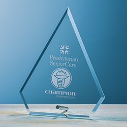 Custom Awards and Recognition: Did Someone Do a Great Job?